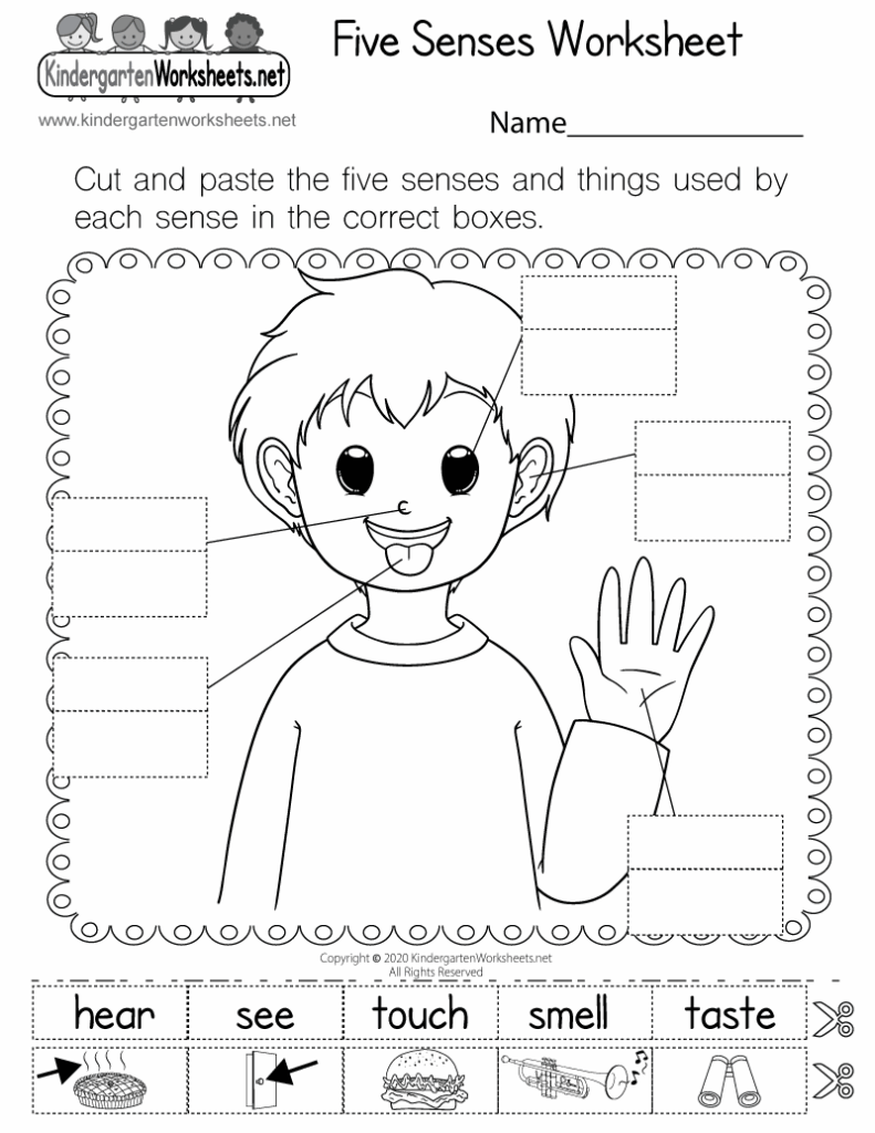 Preschool Printable Worksheets Five Senses - Printable Worksheets Template