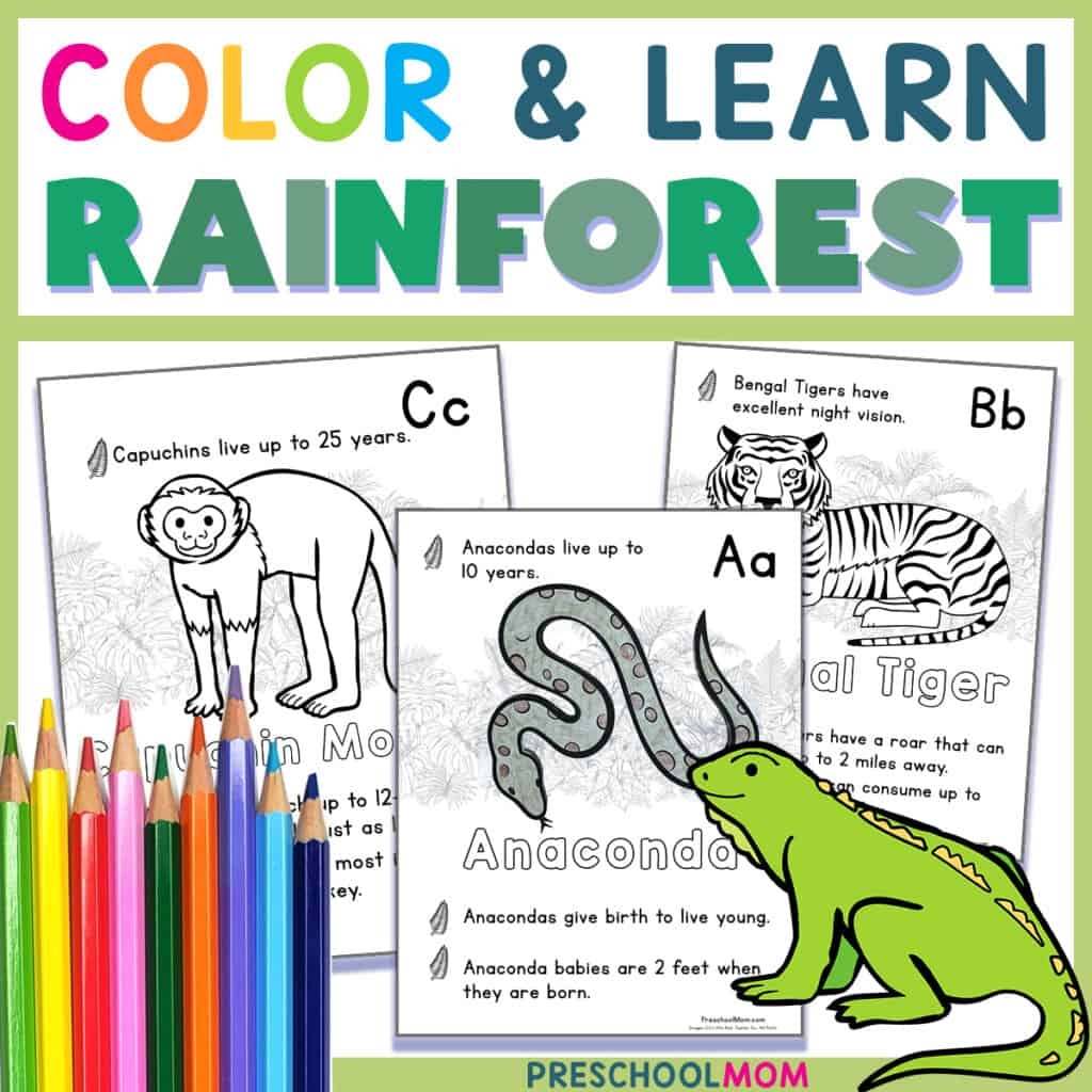 Preschool Free Printable Rainforest Worksheets - Printable Worksheets ...