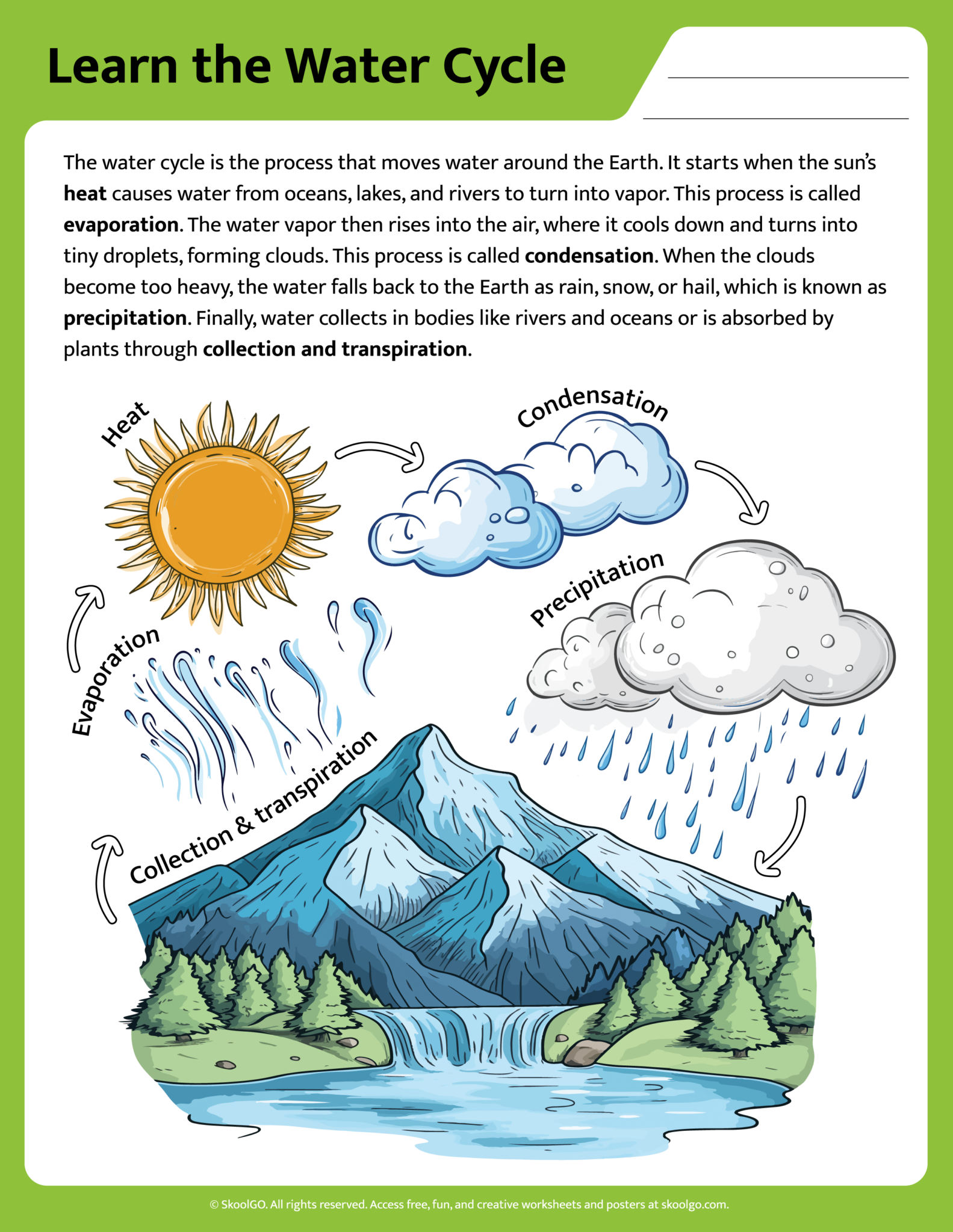 Water Cycle Worksheet Free Printable - Free Printable Worksheets